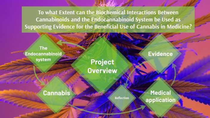 EPQ presentation by Elliot Broadbent on Prezi