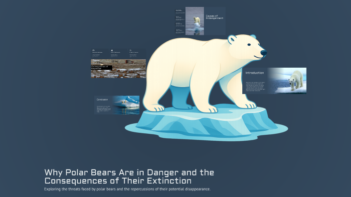 Why Polar Bears Are in Danger and the Consequences of Their Extinction ...