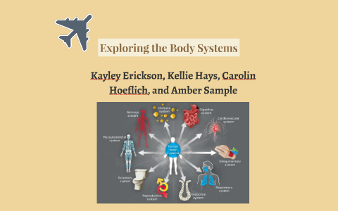 Exploring the Body Systems by Kayley Erickson on Prezi