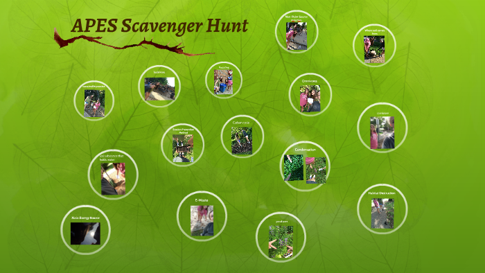 APES Scavenger Hunt by Lawson Strickland on Prezi