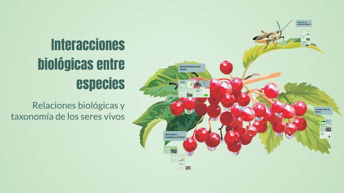 Interacciones biológicas entre especies by Asael Perez Vasquez on Prezi