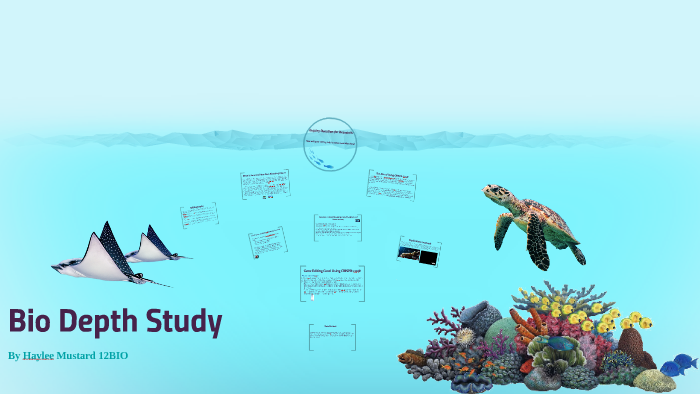 Bio Depth Study by haylee mustard on Prezi