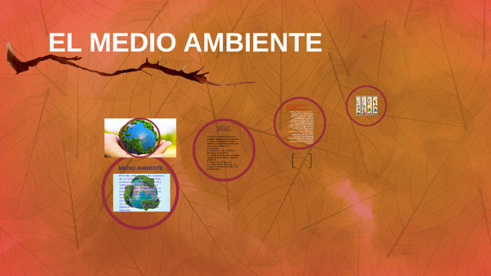 EL MEDIO AMBIENTE by Anny Calderon