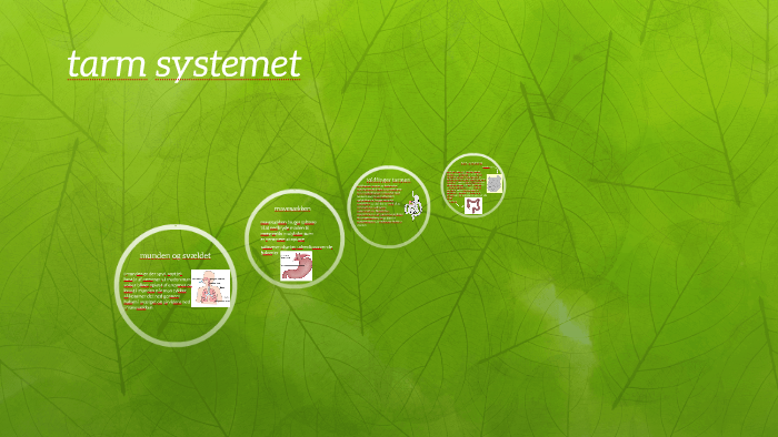 tarm systemet by marc jensen on Prezi