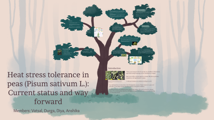 Heat stress tolerance in peas (Pisum sativum L.): Current status and ...