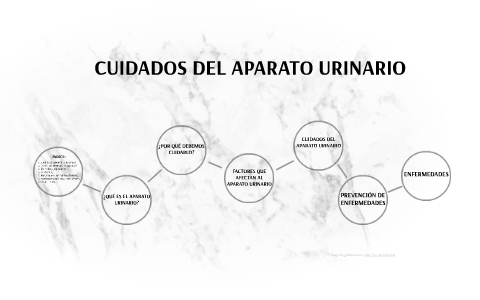 CUIDADOS DEL APARATO URINARIO by Cuco Perdomo on Prezi