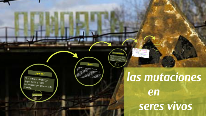 las mutaciones en chernobyl by citlalli plascencia macias on Prezi