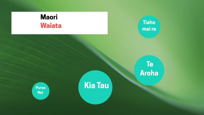 Maori Waiata by Soane Vainikolo on Prezi