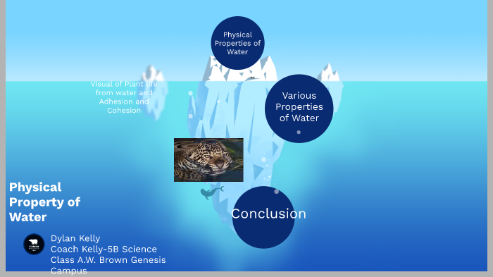 Physical Properties Of Water