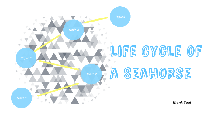 The life cycle of a seahorse by Luis Fer Giancola on Prezi