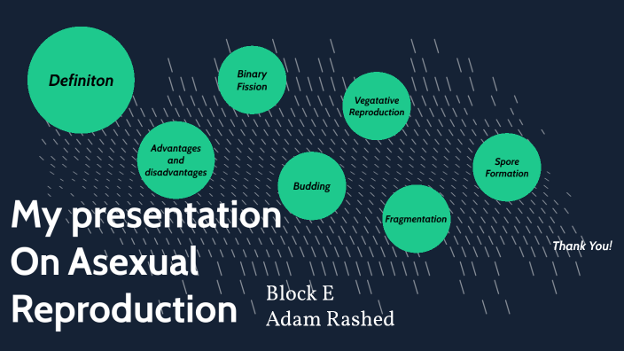 Asexual Reproduction Project by Adam Rashed on Prezi