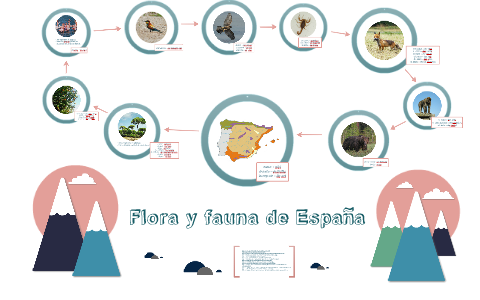 Flora y fauna de España by Laura Dabrowski on Prezi