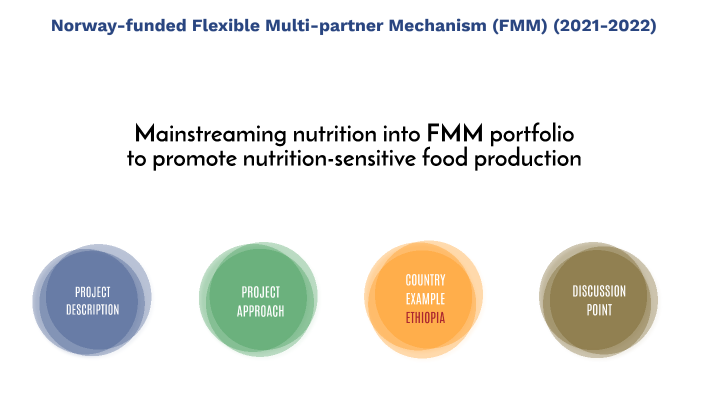 FMM project presentation by 상민 서 on Prezi