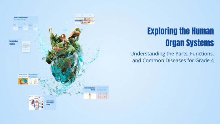 Exploring the Human Organ Systems by San Learning on Prezi