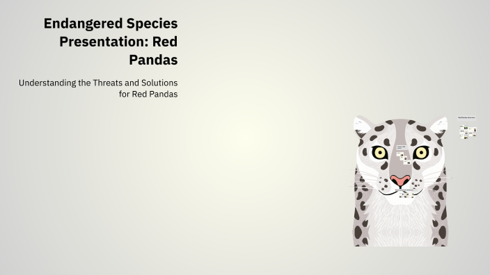 Endangered Species Presentation: Red Pandas by Kareem Elsheikh on Prezi