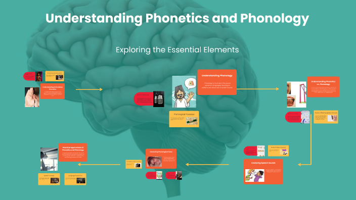 Understanding Phonetics and Phonology by Dua Fatima on Prezi