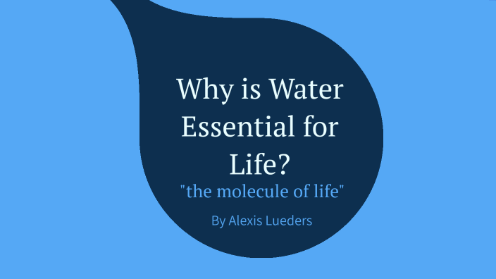 Why Water is Essential for Life by Alexis Lueders on Prezi
