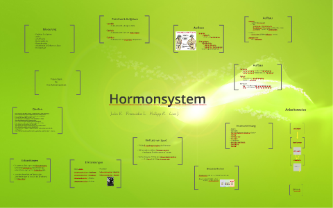 Hormonsystem by Lisa J on Prezi