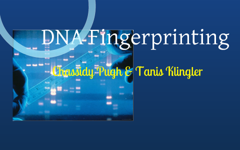 DNA Fingerprinting by Tanis Klingler on Prezi