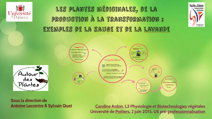Soutenance de Stage by Caroline Ardon