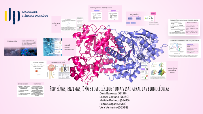 Understanding Proteins, DNA, and Lipids: A Comprehensive Overview by ...