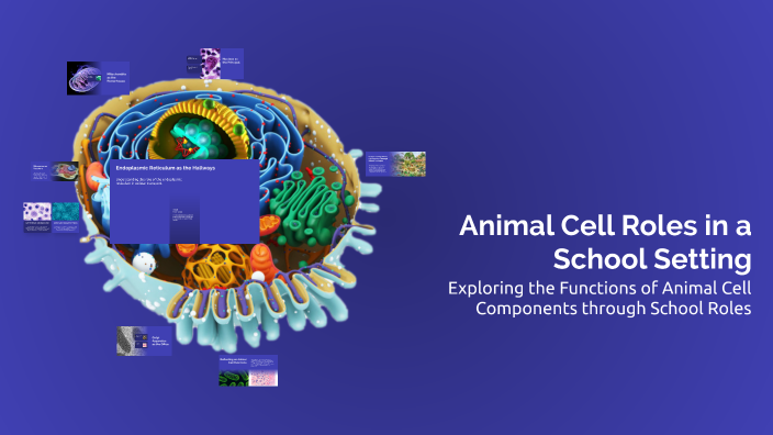 Animal Cell Roles in a School Setting by Maliyah Thomas on Prezi