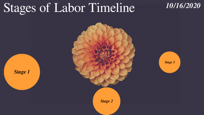 Stages of Labor Timeline by Phoenix M on Prezi