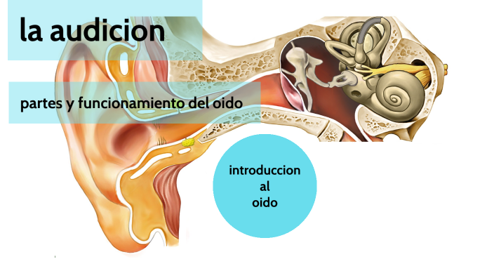 la audición by melanye castillo on Prezi