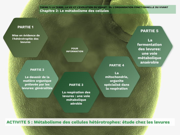 SECONDE-SVT THEME 1A ACTIVITE 5 by Enseignante CHABANNE on Prezi