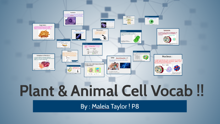 Plant & Animal Cell Vocab by Maleia Taylor on Prezi