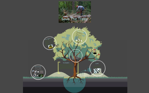 The Wisdom Tree by Saylor Davis on Prezi