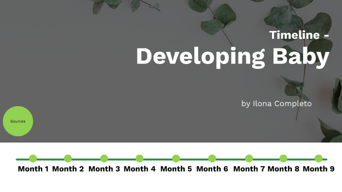 Developing Baby Timeline by Ilona Completo on Prezi