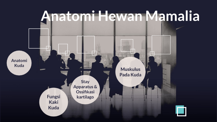 Anatomi Kuda by Anisa RA on Prezi