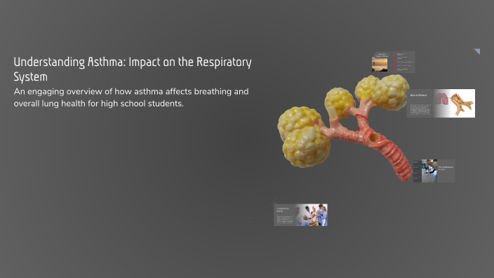 Understanding Asthma: Impact on the Respiratory System by Dhruv King on ...