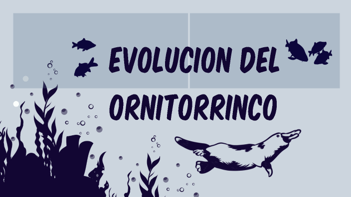 EVOLUCION DEL ORNITORRINCO by Rosa Lizbeth Barcenas Mancillas on Prezi