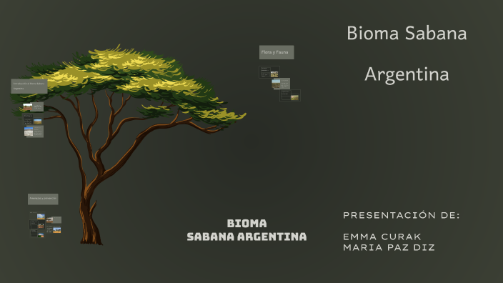Bioma Sabana Argentina by Emma Curak on Prezi