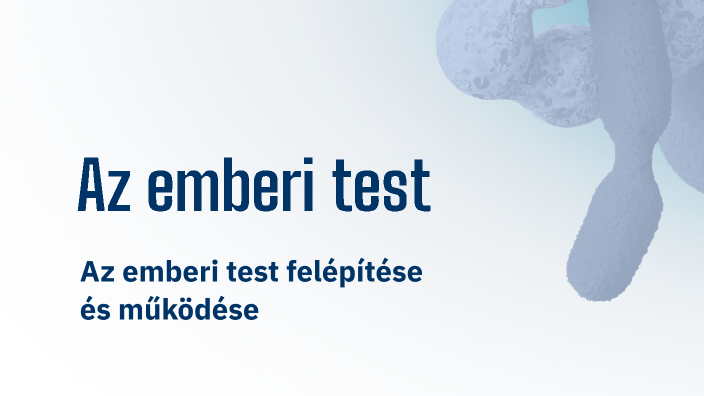 Az emberi test by Máté Jaksi on Prezi
