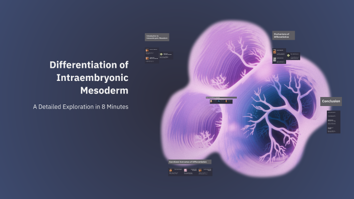 Differentiation of Intraembryonic Mesoderm by Vipranshu Gupta on Prezi
