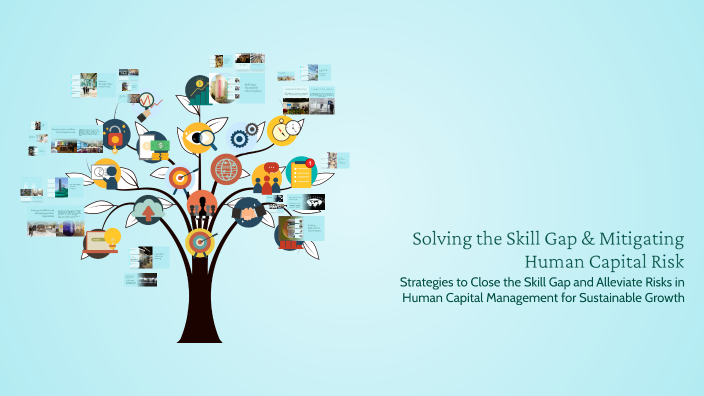 Solving the Skill Gap & Mitigating Human Capital Risk by Hilary Nwabuko ...