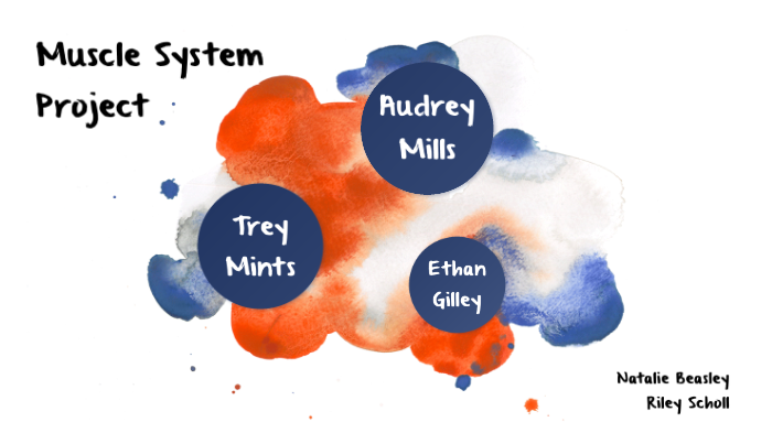 Muscle System Project by Natalie Beasley on Prezi