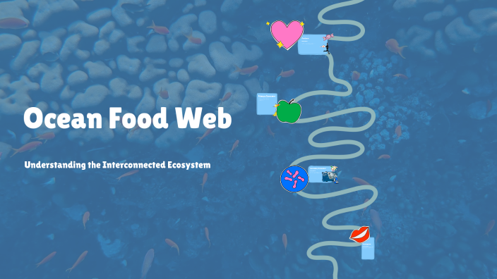 Ocean Food Web by Ruth Goodwin on Prezi