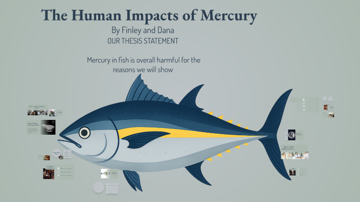 Understanding the Human Impacts of Mercury: A Literature Review by ...