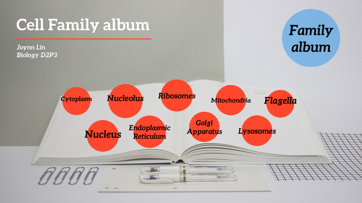 cell Family album Project by Joynn on Prezi