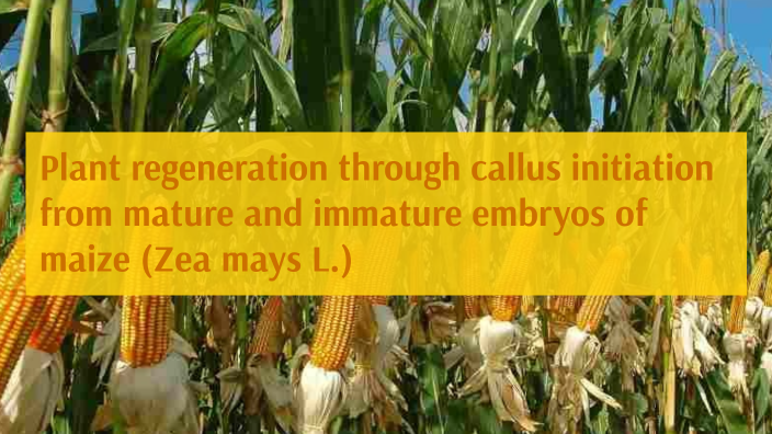 Plant regeneration through callus initiation from mature and immature ...