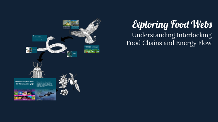 Exploring Food Webs by Tia Woods on Prezi