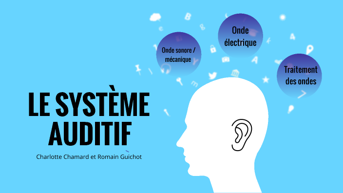 le système auditif by Charlotte Chamard on Prezi