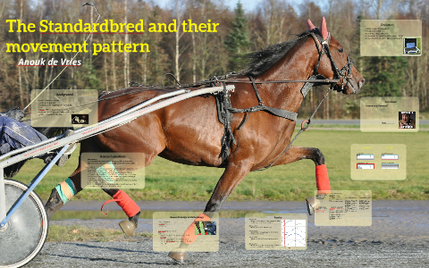 The Standardbred and their movement pattern by A de Vries on Prezi