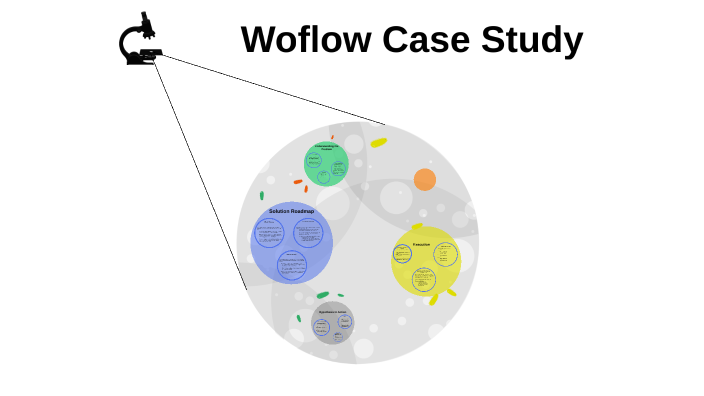 Woflow Case Study by Zubeir Said on Prezi