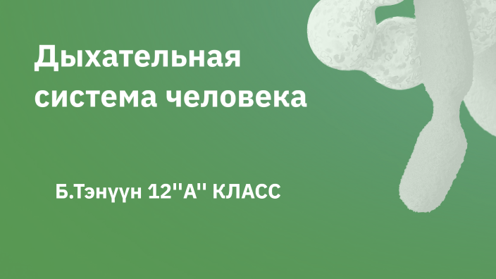 Human Respiratory System by Anar-Erdene Ariunbold on Prezi