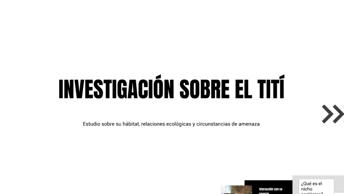 INVESTIGACIÓN SOBRE EL TITÍ by ibrahim taghzati elhannaoui on Prezi
